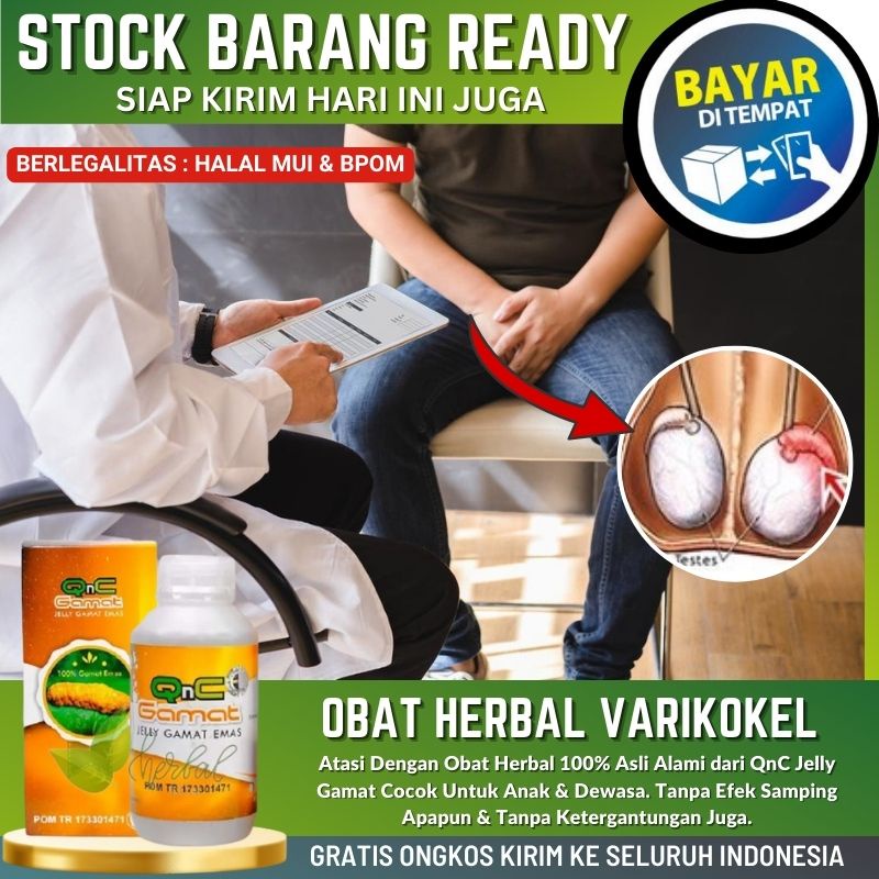 Jual Obat Herbal Varikokel & Hidrokel Pada Pria, Obat Varises di Testis ...