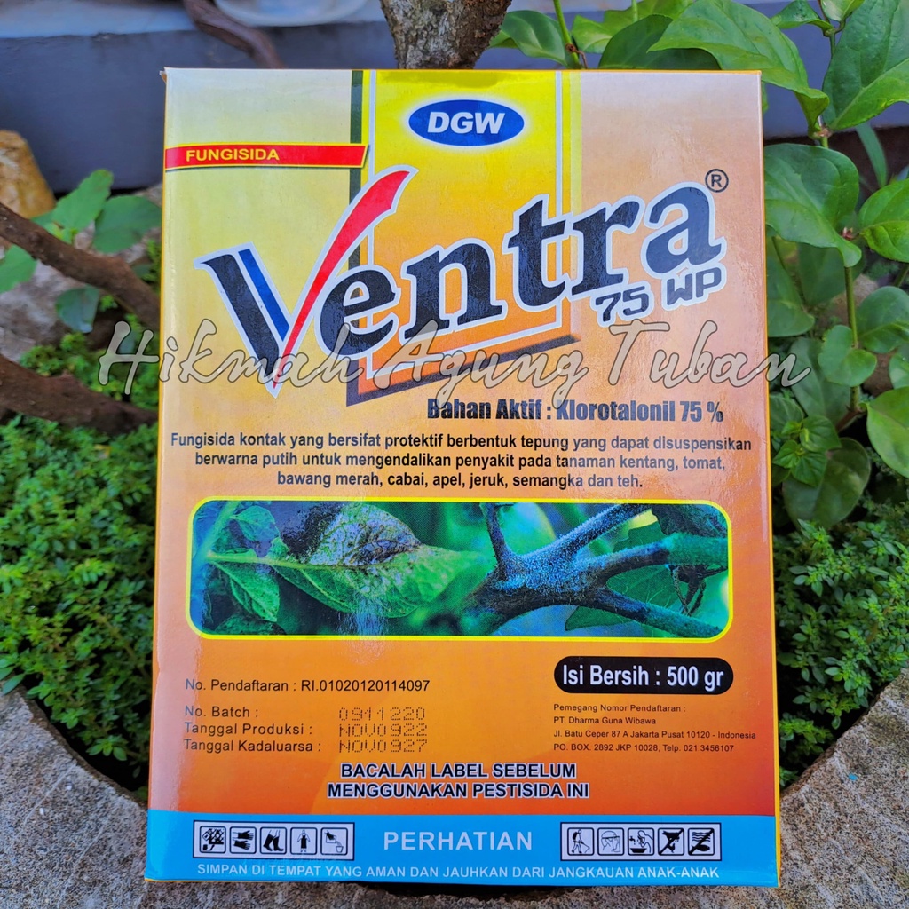 Jual Ventra 75 WP 500 gr - Fungisida protektif klorotalonil | Shopee ...