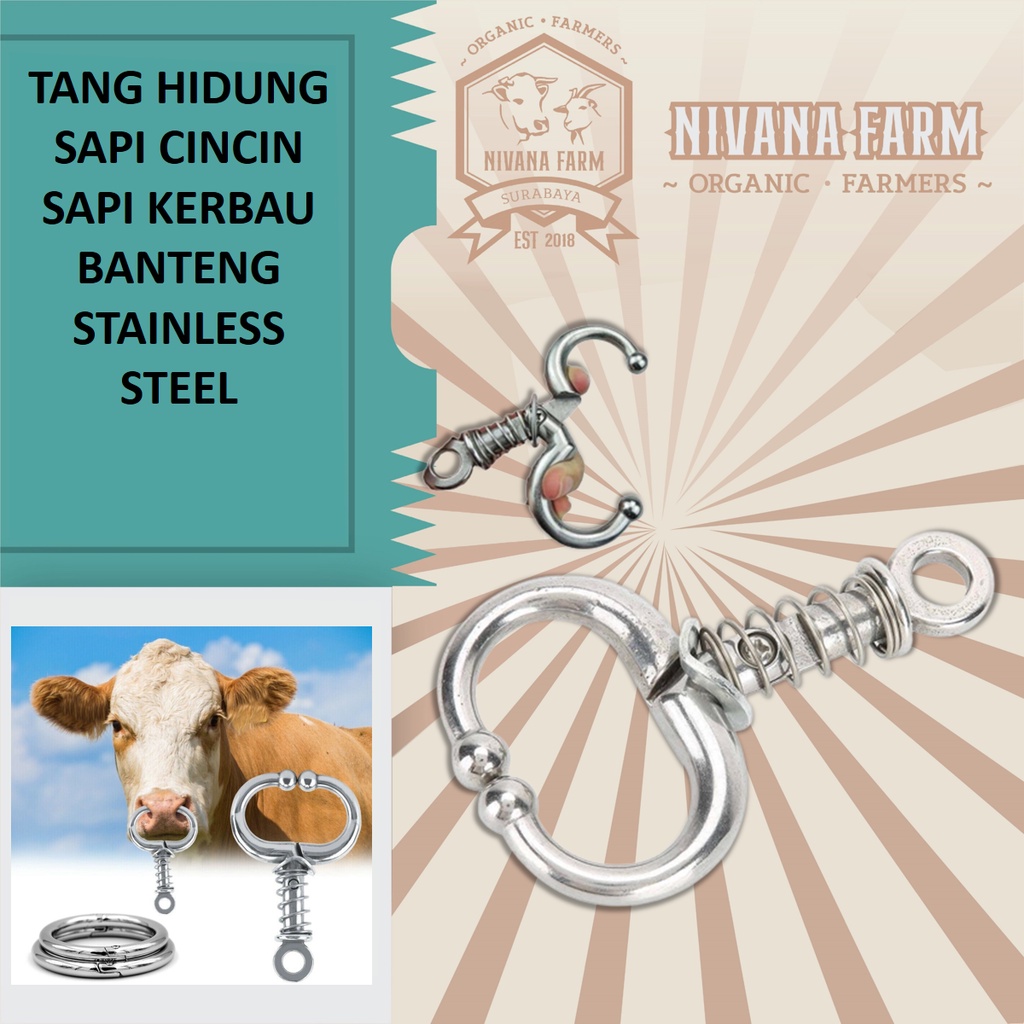 Jual Tang Hidung Sapi Cincin Sapi Kerbau Banteng Stainless Steel ...