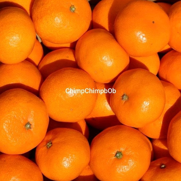 Jual JERUK MANDARIN ORGANIK SEGAR 500 GRAM / ORGANIC MANDARIN ORANGE ...