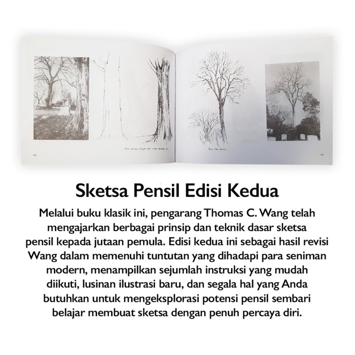 Jual Diskon Spesial Buku Sketsa Pensil Edisi 2 Thomas C Wang Erlangga ...