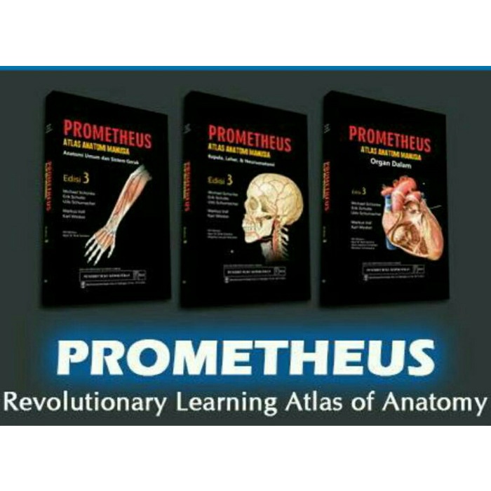 Jual Must Have!! Buku Prometheus Atlas Anatomi Manusia Terbaru | Shopee Indonesia