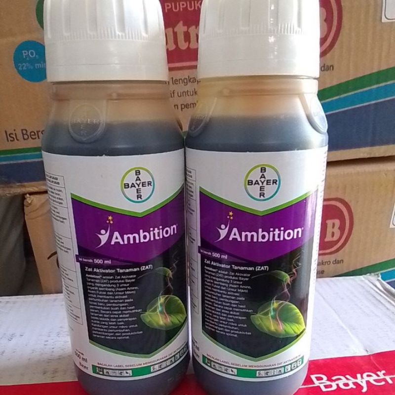 Jual AMBITION 500 ML | Shopee Indonesia