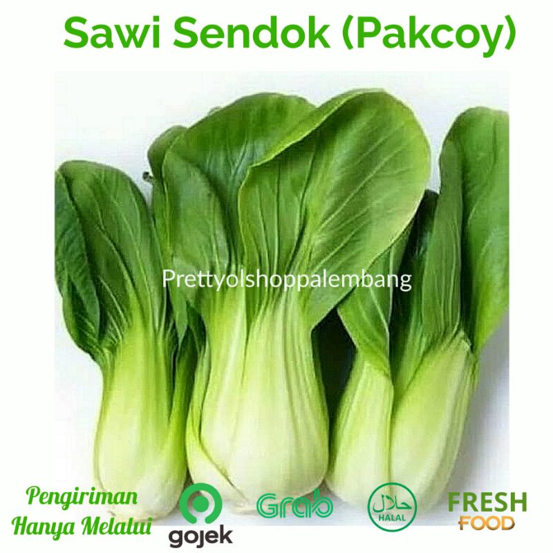 Jual [PALEMBANG] PAKCOY BOKCOY SAWI SENDOK 250 GRAM - SAYUR BUAH IKAN ...