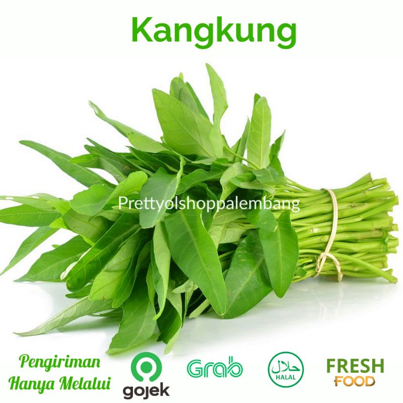 Jual [PALEMBANG] KANGKUNG 1 IKAT - SAYUR BUAH IKAN SEGAR ONLINE PRETTY ...