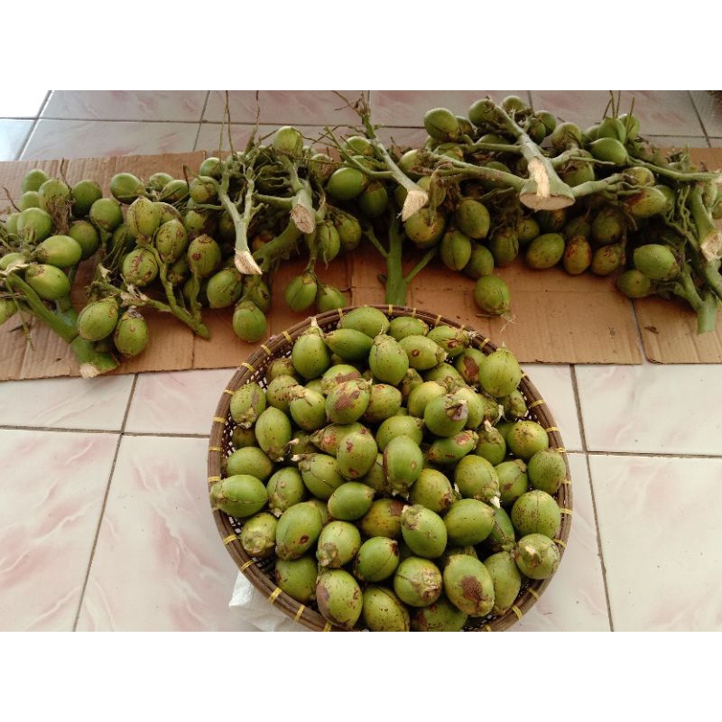 Jual BUAH PINANG MUDA Jambe wangi 1 KG | Shopee Indonesia