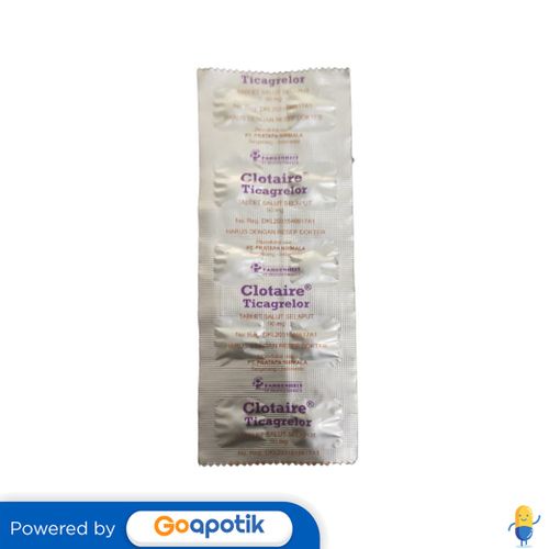 Jual CLOTAIRE 90 MG STRIP 10 TABLET | Shopee Indonesia
