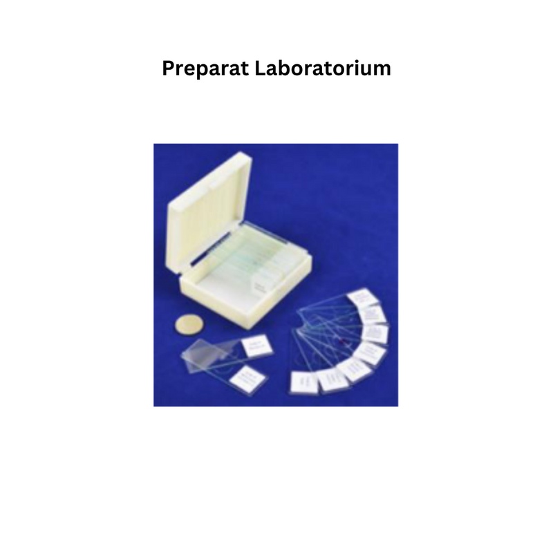 Jual 25 Jenis Preparat Botani, Zologi, Histologi, Mikrobiologi | Shopee ...