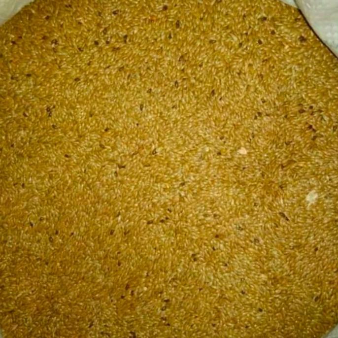 Jual Benih Rumput Penghijauan Lahan-Benih Rumput Signal Grass Per 25 Kg ...