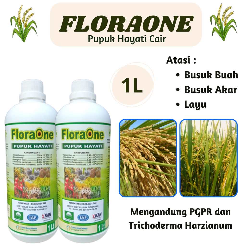 Jual Pupuk PGPR Rhizobium Sp Cair 1 Liter, Fungisida Hayati Cair Trichoderma harzianum busuk ...