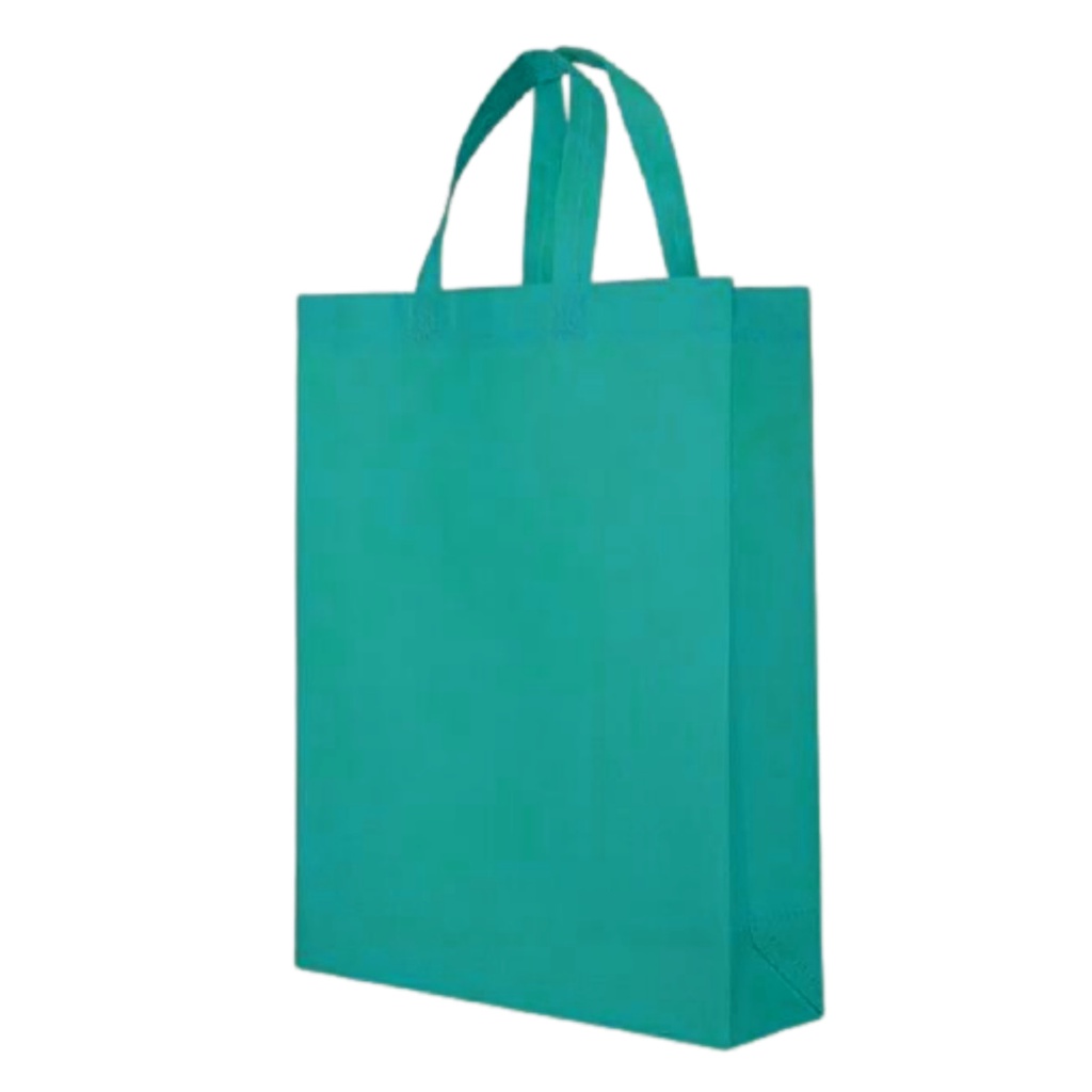 Jual Kodian isi 20 pcs Tas Spunbond Goodie bag Handle Box / Kotak ...