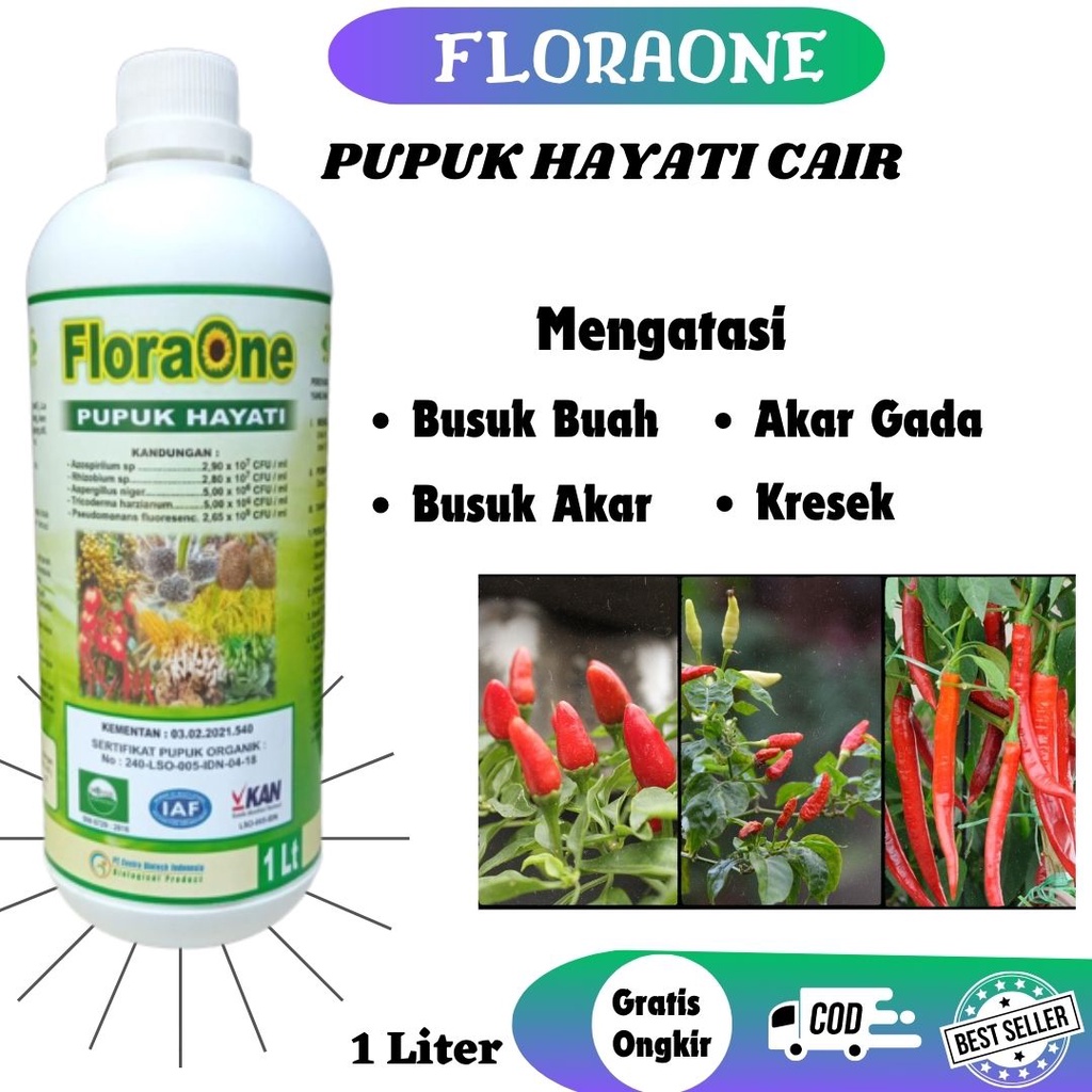 Jual Pupuk PGPR Rhizobium Sp, Pupuk Hayati Cair, Tricoderma Pupuk Layu Fusarium Sayuran-Buah ...