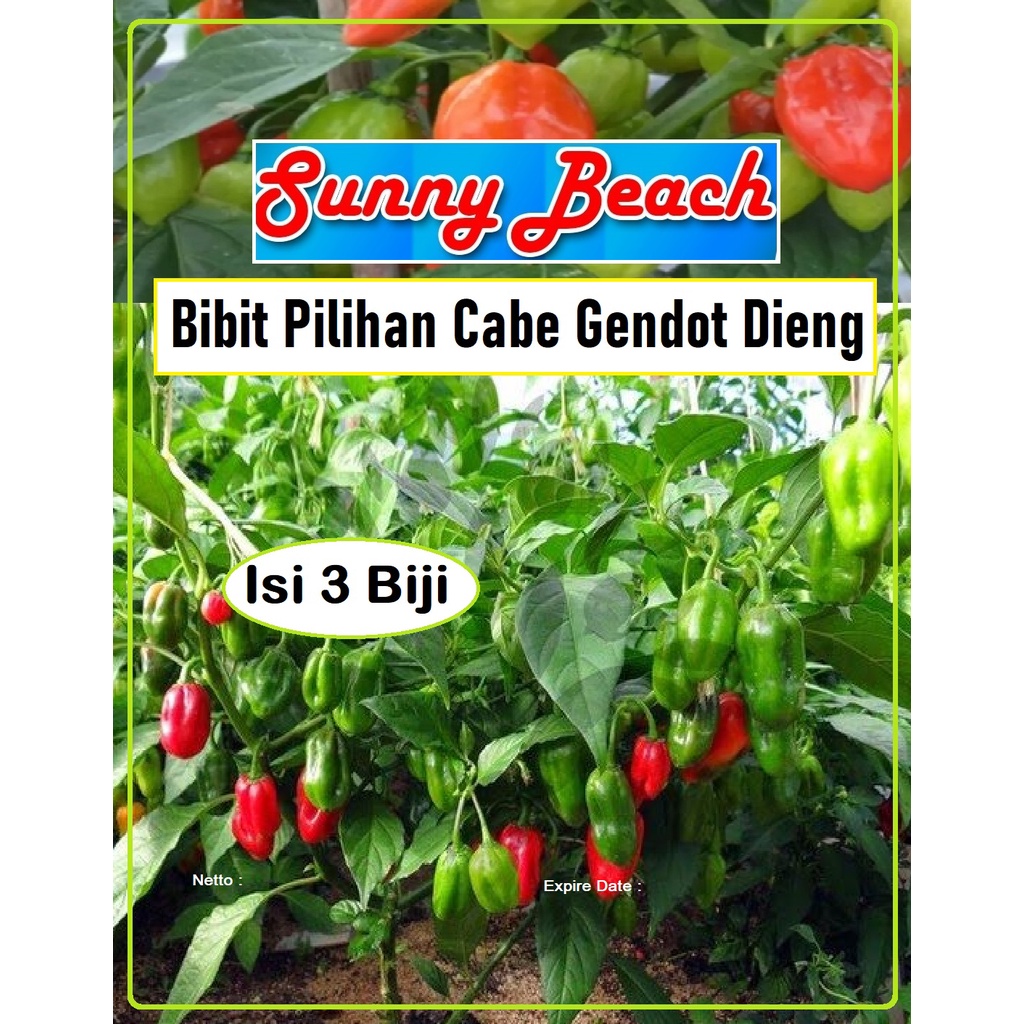 Jual Bibit Pilihan Cabe Gendot Dieng | Biji Benih Cabe Genjot Dieng ...
