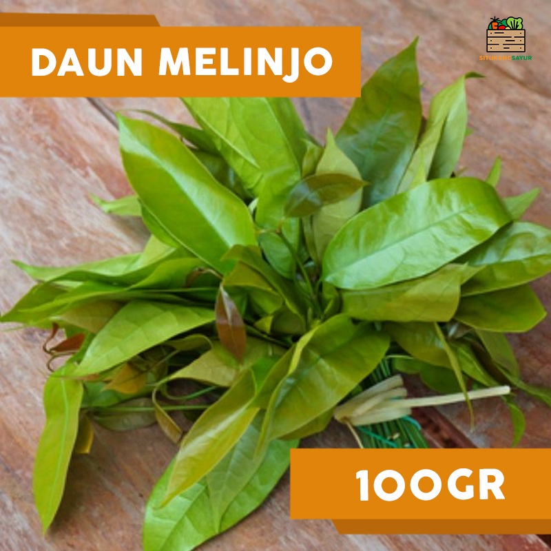 Jual Daun Tangkil | 100gr (Kota Bandung & Sekitar) | Shopee Indonesia