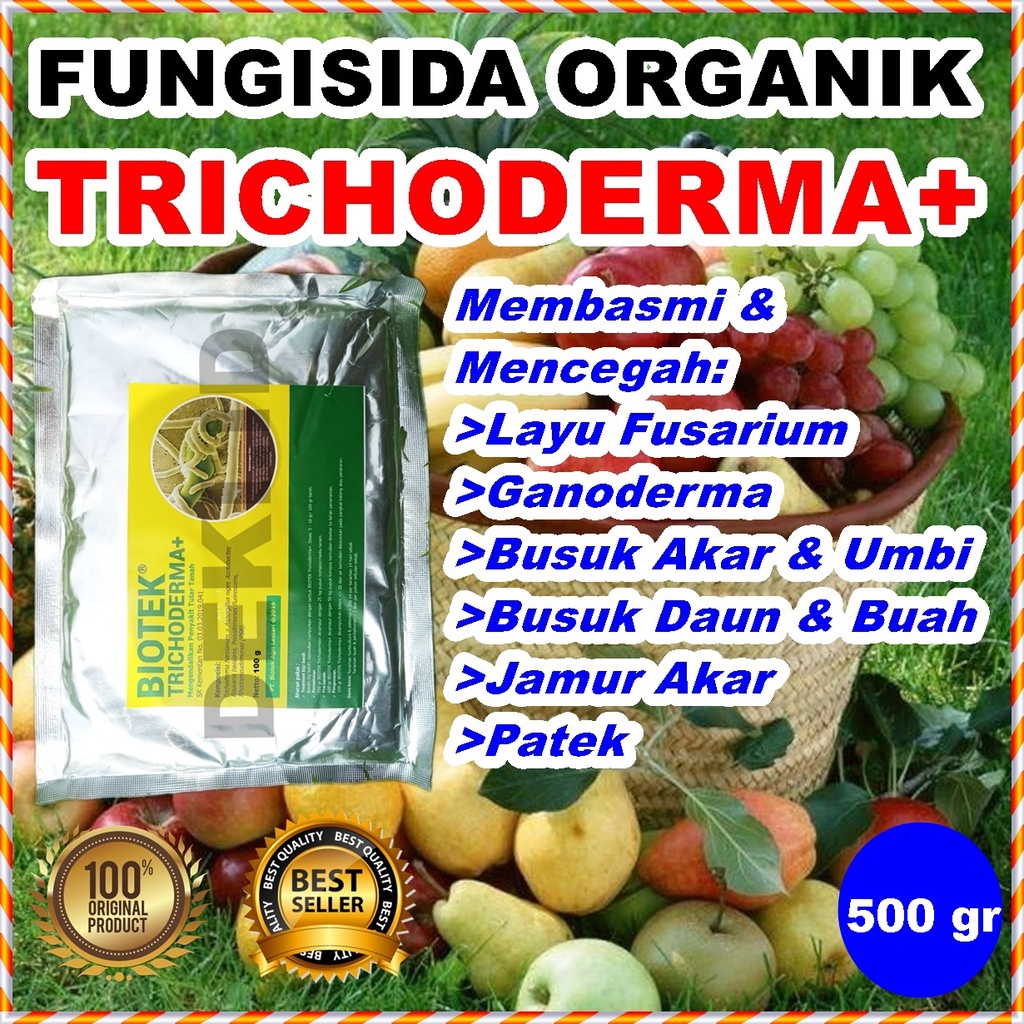 Jual Trichoderma Biotek 500 Gram Bio Fungisida Organik Tricoderma Pupuk ...