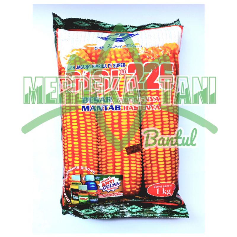 Jual Benih Jagung Hibrida BISI 226 Cap Kapal Terbang Kemasan 1kg ASLI ...