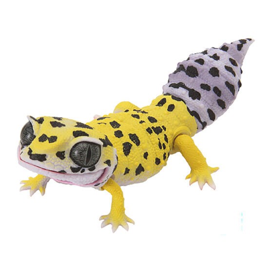 Jual Ikimono Repti Leopard Gecko Gashapon Gacha Bandai dango mushi ...