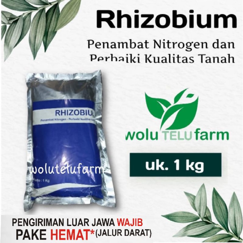 Jual RHIZOBIUM pupuk penambat nitrogen, perbaiki kualitas tanah uk. 1 kg | Shopee Indonesia