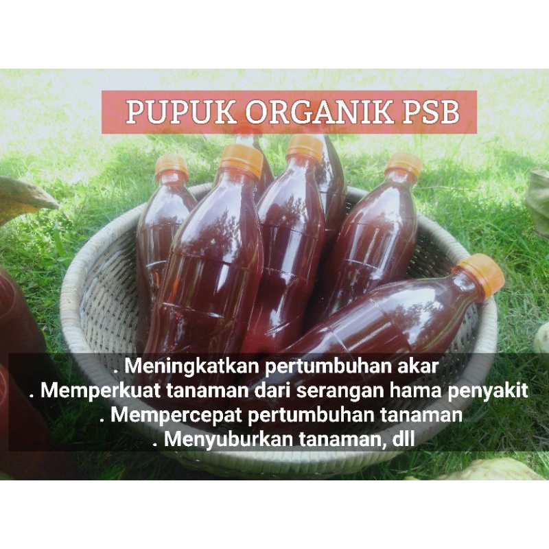 Jual Pupuk Organik Cair PSB Bakteri Fotosintesis POC | Shopee Indonesia