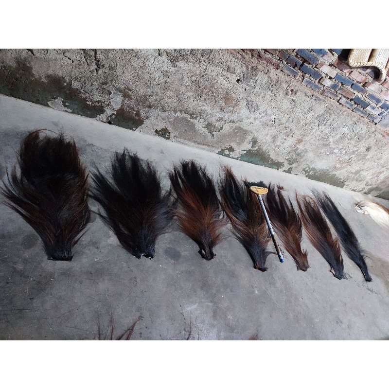 Jual ekor kuda | Shopee Indonesia