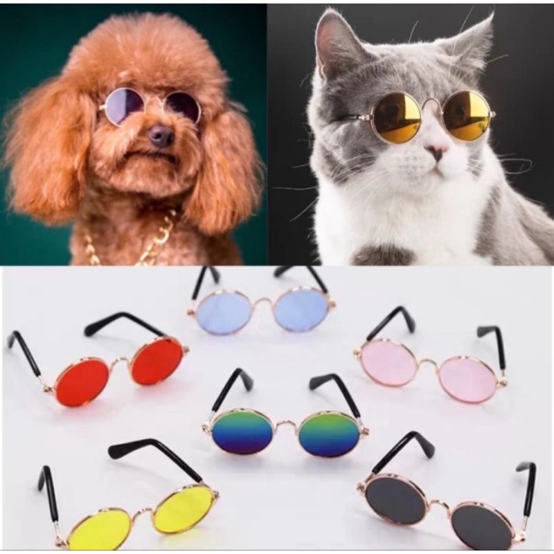 Jual KACAMATA KUCING ANJING OTTER KELINCI PET EYE GLASSES | Shopee ...