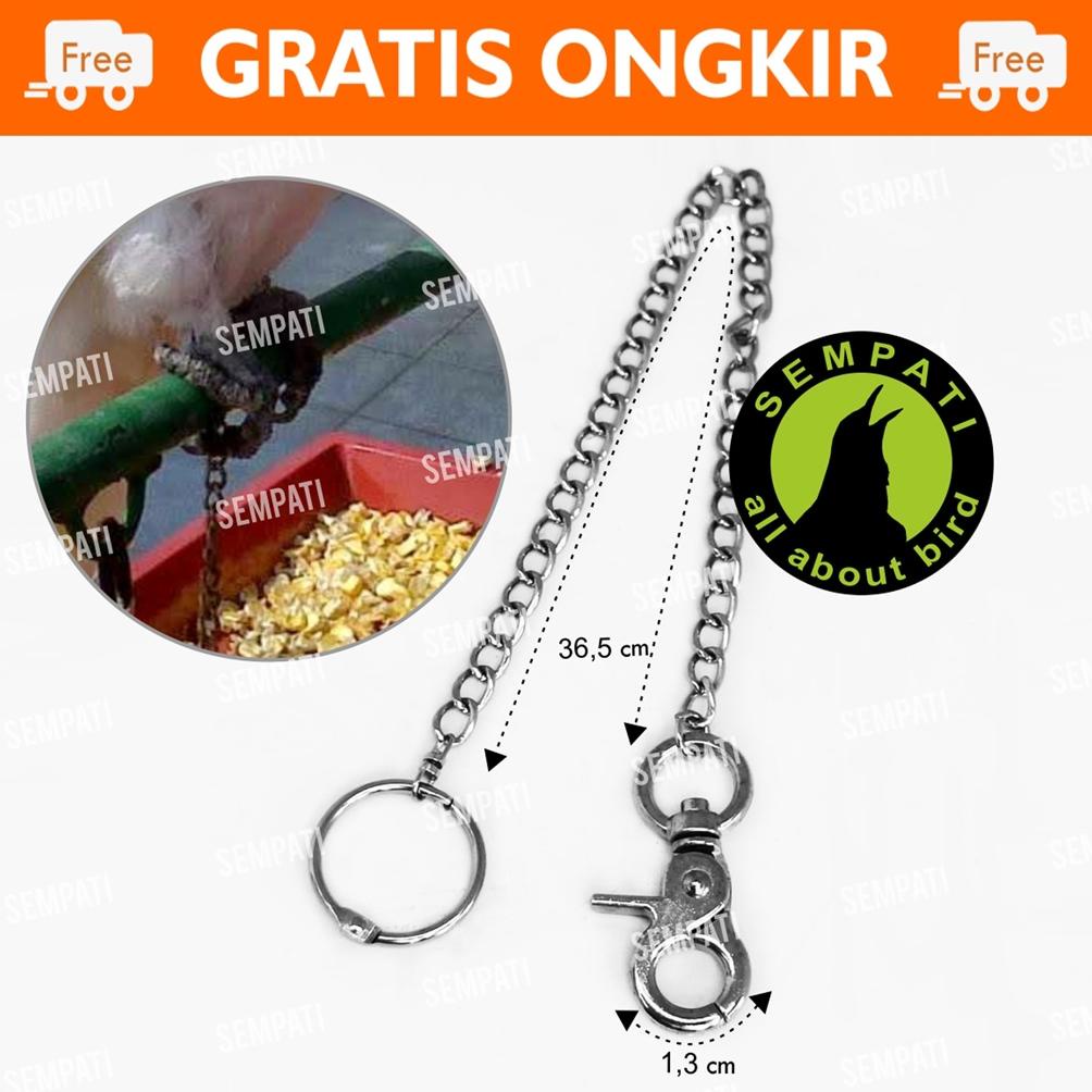 Jual Viral Rantai Borgol Ring Kaki Burung Elang Kakatua Grey Parrot ...
