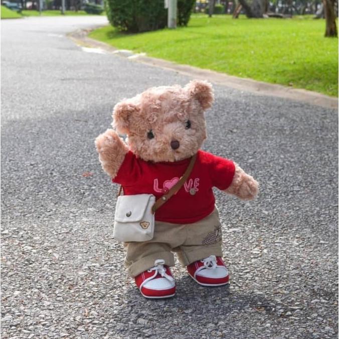 Jual TEDDY HOUSE BONEKA TEDDY BEAR TOBY BEAR 10 INCH | Shopee Indonesia