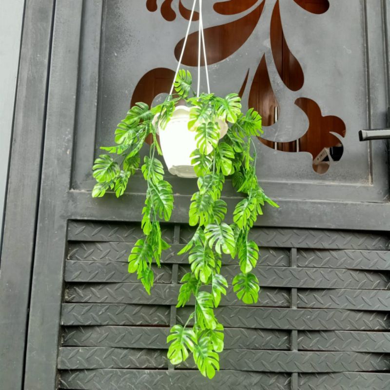 Jual Monstera rambat pot gantung tanaman artificial bunga hias plastik ...