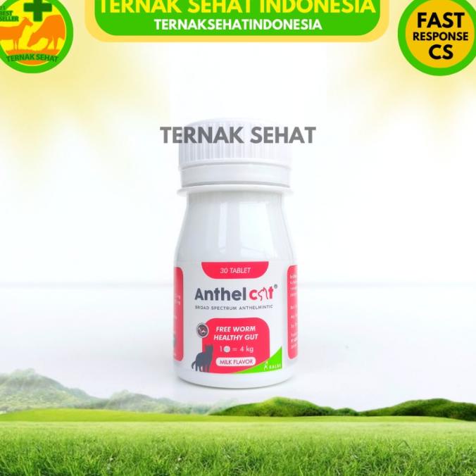 Jual monggo] ANTHEL CAT 30 TABLET (KEMASAN BOTOL) - Obat Cacing Kucing ...
