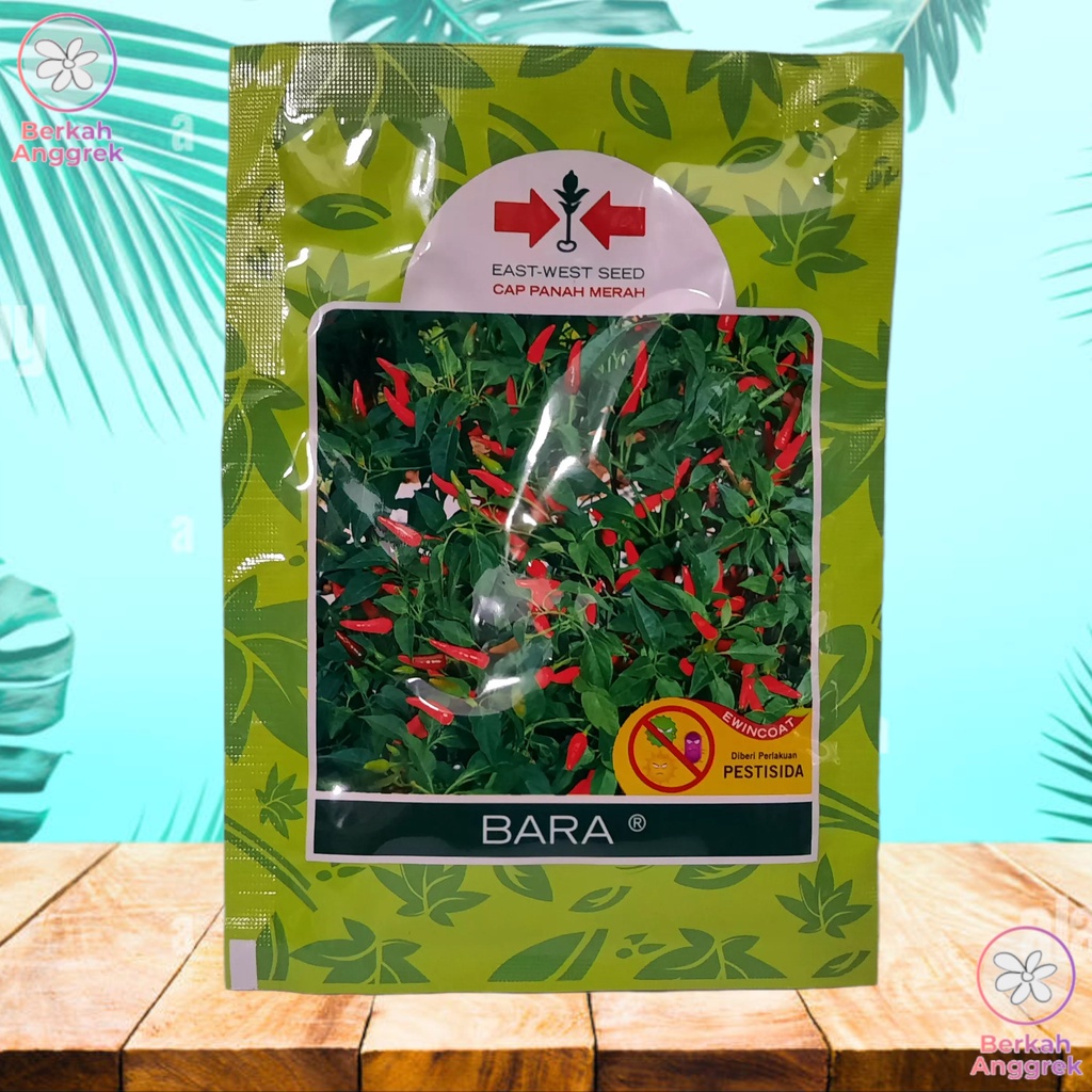 Jual Bara 3200 Butir Benih Cabe | Shopee Indonesia