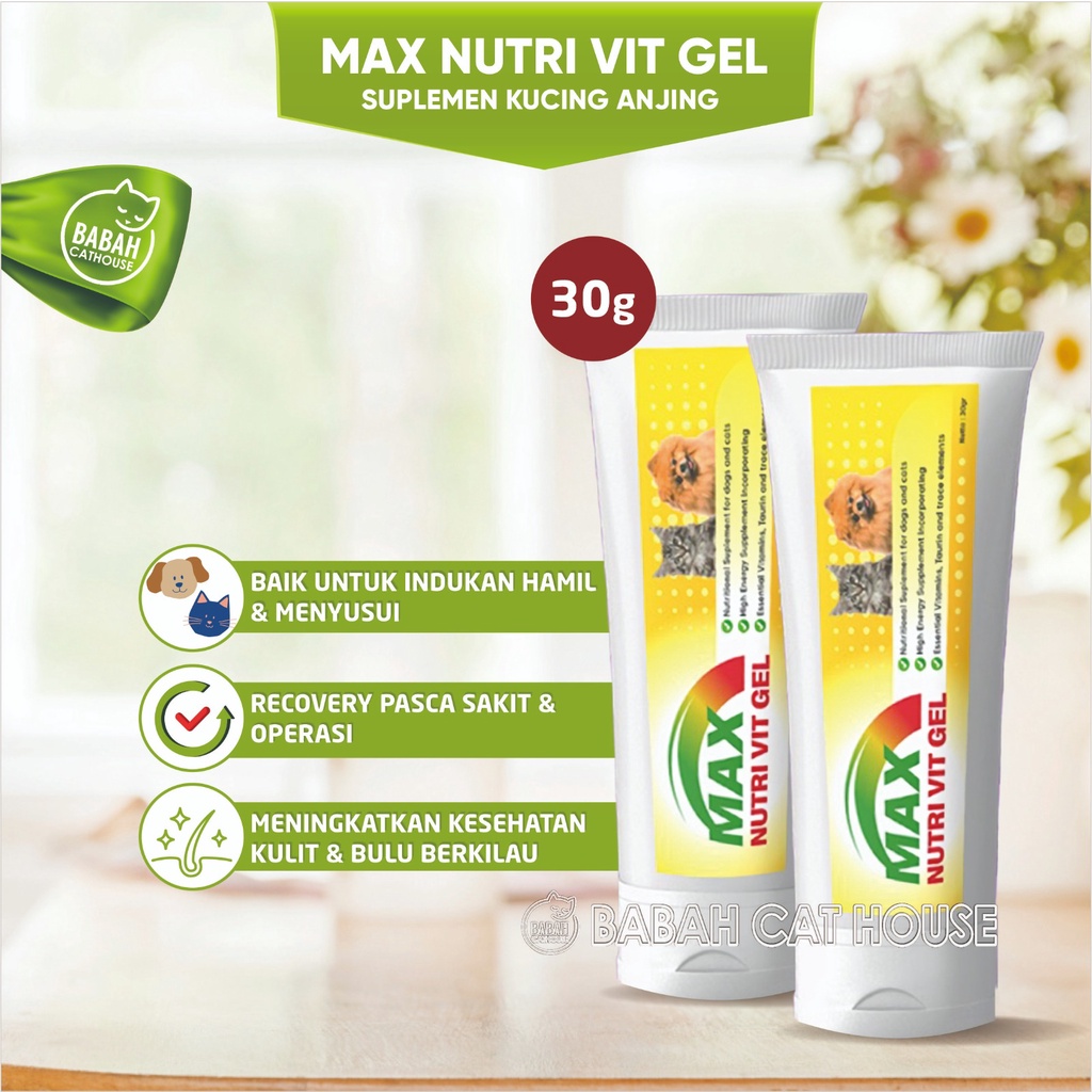 Jual MAX NUTRI VIT GEL 30gr Vitamin Untuk Kucing Anjing Penambah Nafsu Makan Imun Original ...