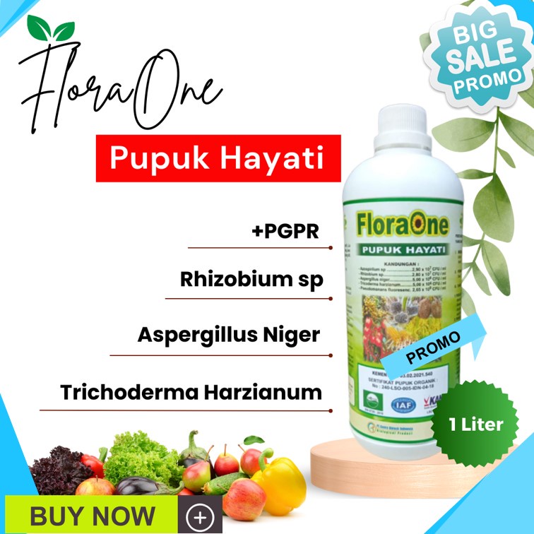 Jual PGPR Pupuk Pertumbuhan Tanaman, Pupuk Untuk Meningkatkan Sistem ...