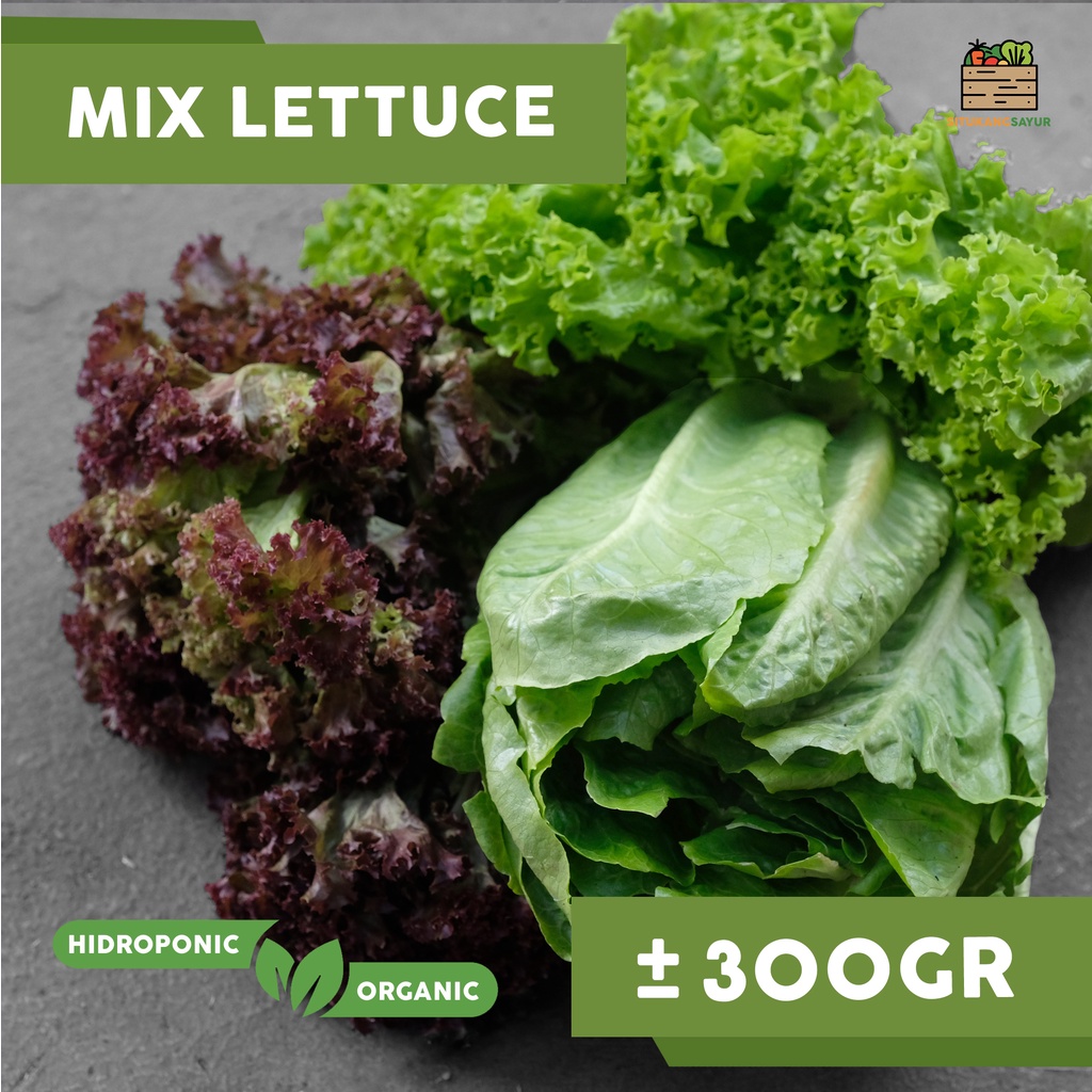 Jual Mix Lettuce Organik (Kota Bandung & Sekitar) | Shopee Indonesia