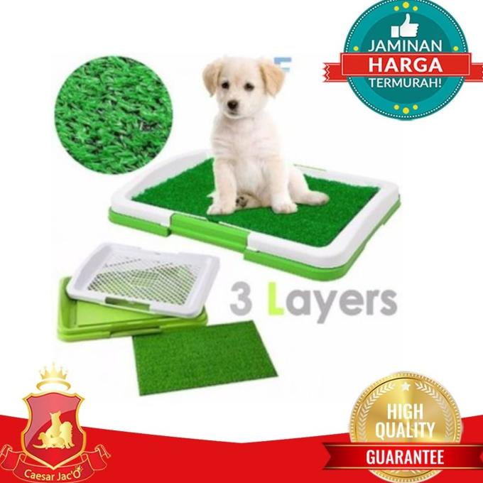 Jual Tatakan Poop Pee Potty Tray + Rumput - Pet Toilet Anjing Kucing ...