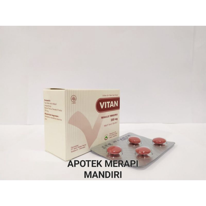 Jual VITAN 250 MG STRIP ISI 4 TABLET | Shopee Indonesia