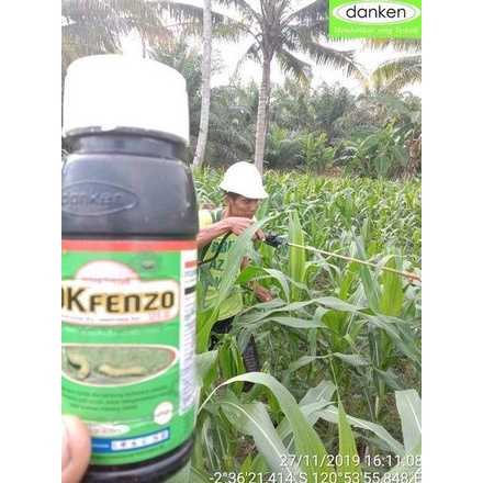 Jual Ready oke] Racun Ulat Grayak Jengkal - Obat Basmi Ulat Pupus DK ...