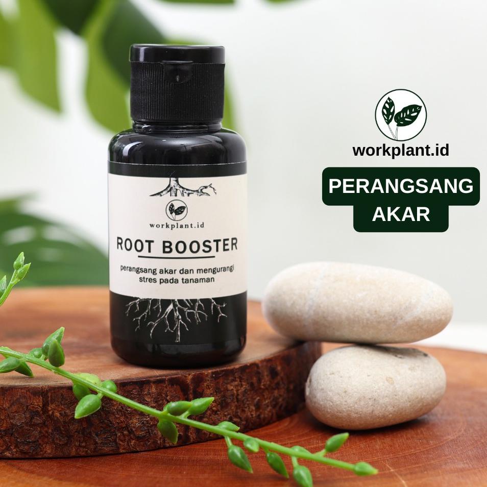 Jual Model Spesial Workplant Root Booster - Perangsang Akar Penumbuh ...