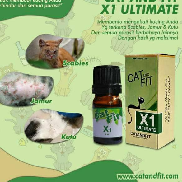 Jual Surprise Cat & Fit / Cat and Fit — X1 Ultimate | Shopee Indonesia