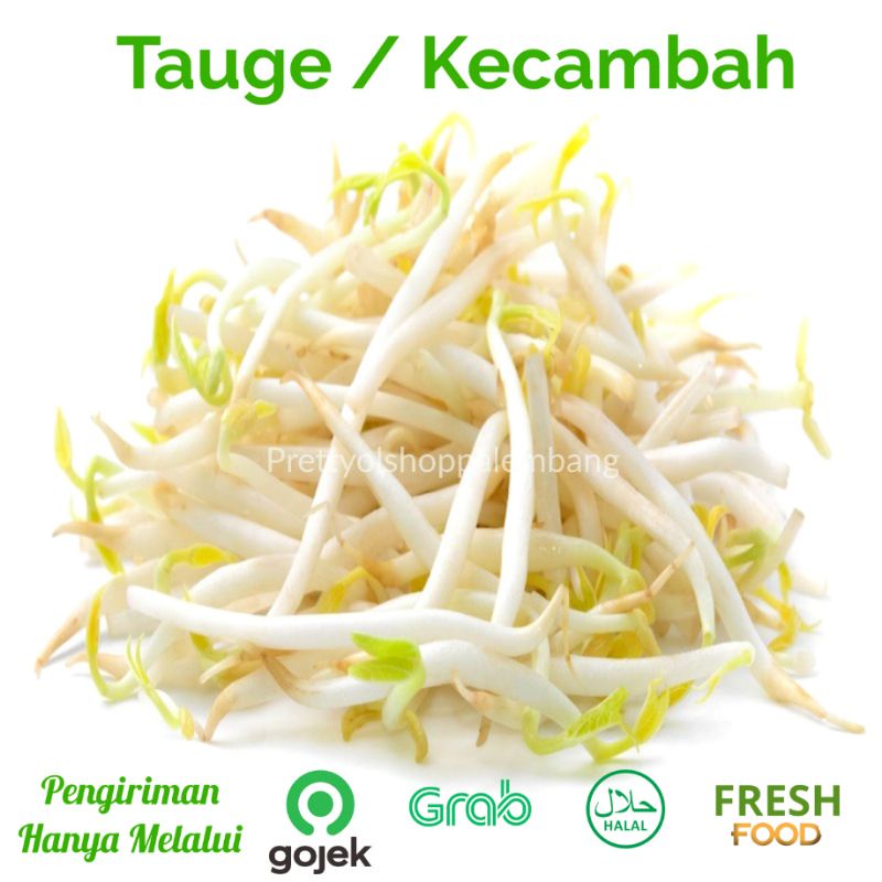 Jual [PALEMBANG] TAUGE TOGE KECAMBAH 300 GRAM - SAYUR BUAH IKAN SEGAR ...