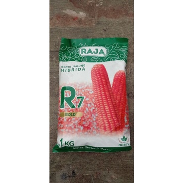 Jual Benih jagung hibrida raja R7 1kg Red dan gold | Shopee Indonesia