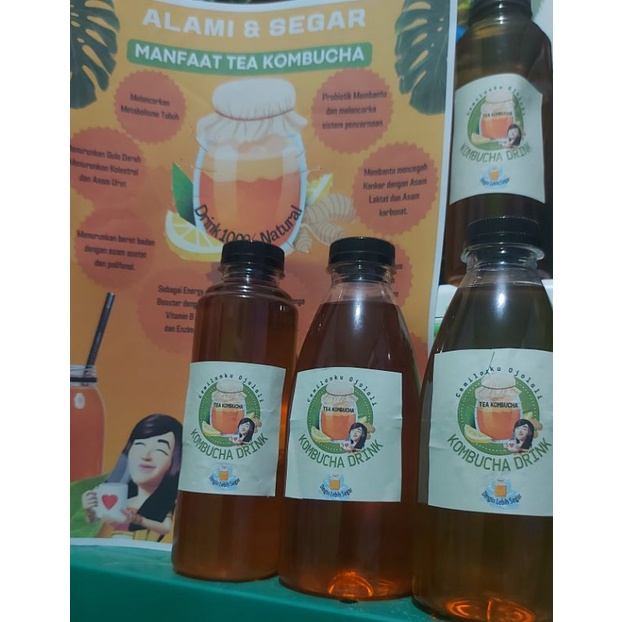 Jual Tea Kombucha Original|| Minuman Sehat Kombucha||Minuman sehat ...