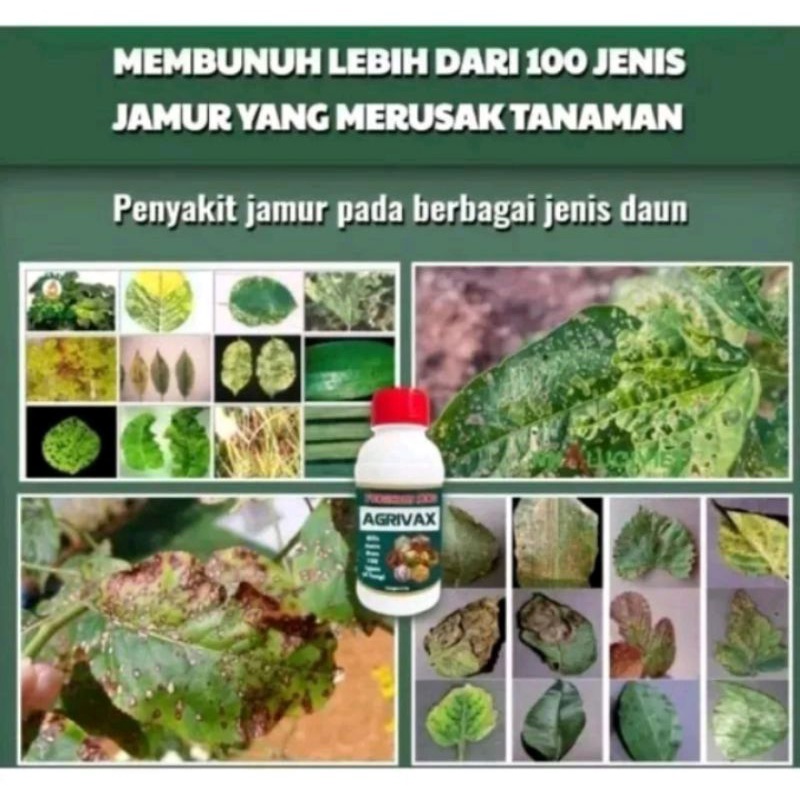 Jual Fungicides, special drugs for fungi an bacteria, king of Agrivax ...