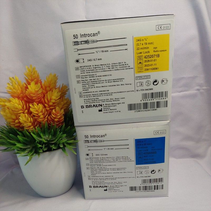 Jual INTROCAN 22G DAN 24G | Shopee Indonesia