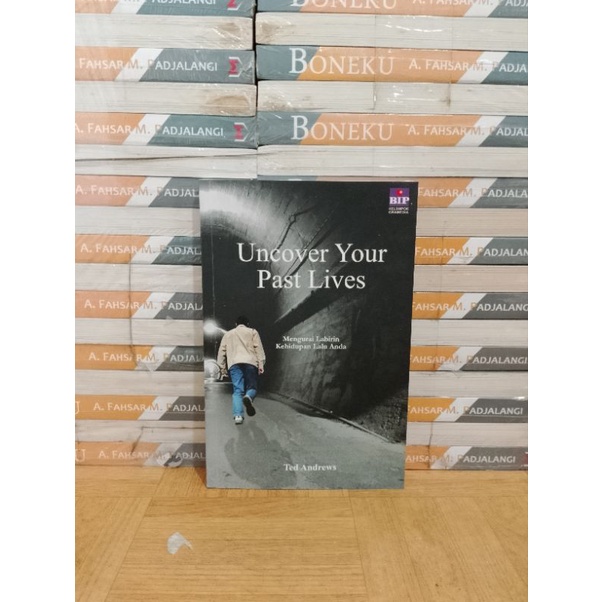 Jual BUKU ORIGINAL - UNCOVER YOUR PAST LIVES | Shopee Indonesia