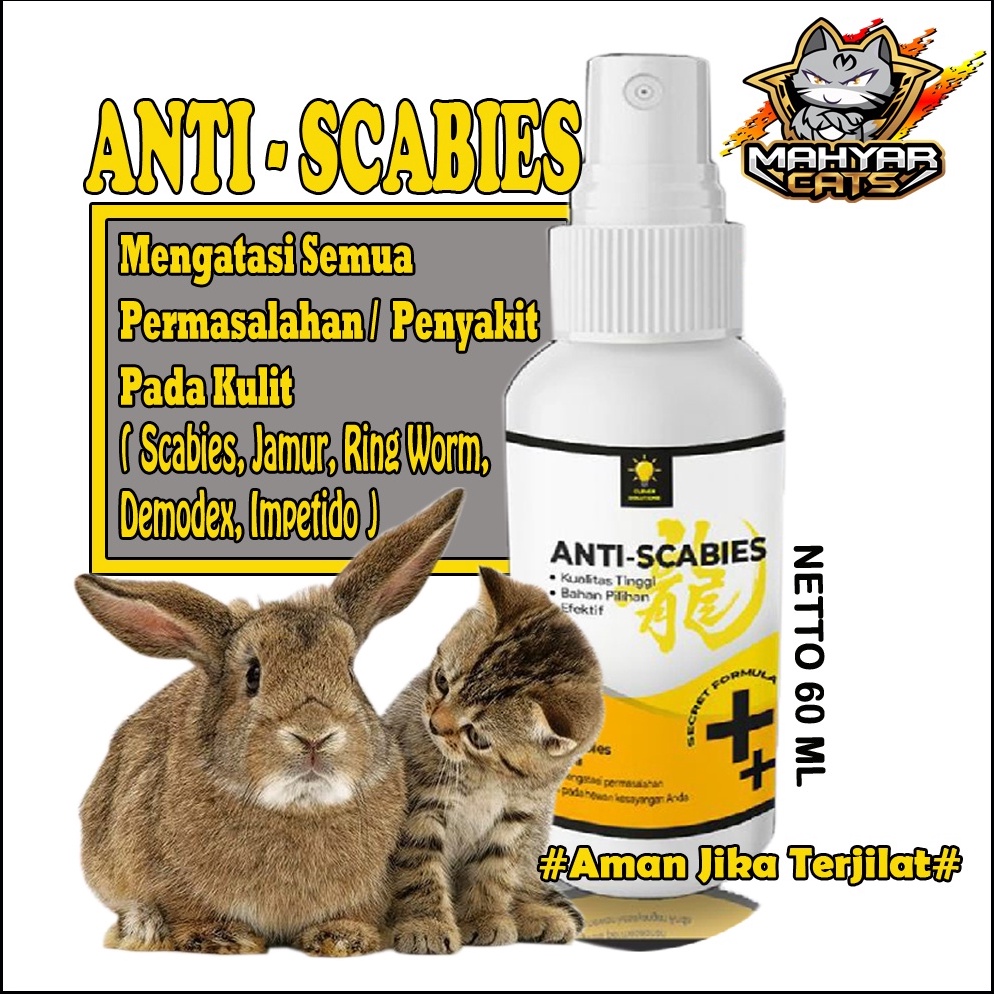 Jual Stok Baru Obat Jamur Kucing Scabies Demodex Impetigo Jamur Kutu ...