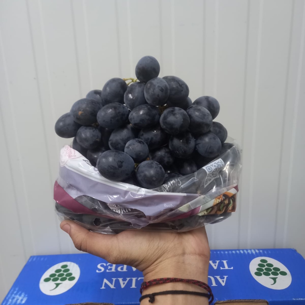Jual Anggur Hitam Adora Seedless Grape Australia 500gr | Shopee Indonesia