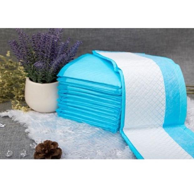 Jual Underpad 1.2KG Pet Diaper Per Pack Tipis Murah Untuk Anjing dan ...