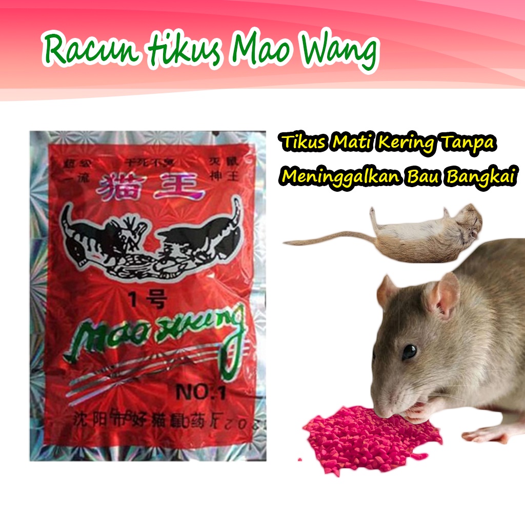 Jual Mao Wang Racun Tikus Ampuh Langsung Mati di Tempat / Racun Tikus ...