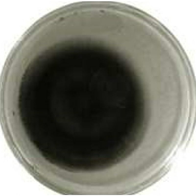 Jual Isolat Penyakit Pyricularia oryzae asal padi varietas Situbagendit ...