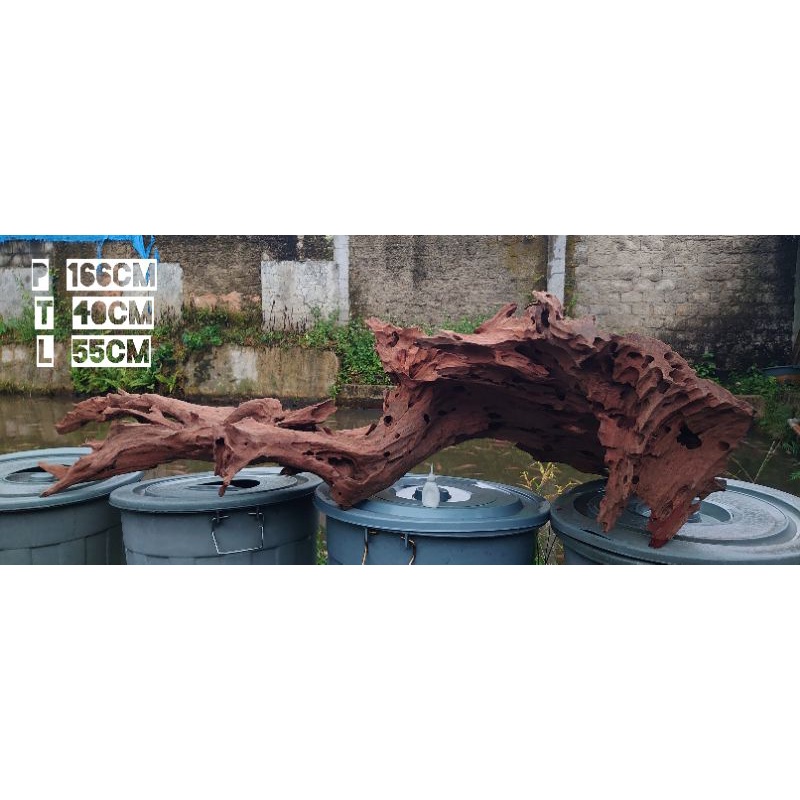 Jual Kayu Rentek Uk Besar | Shopee Indonesia